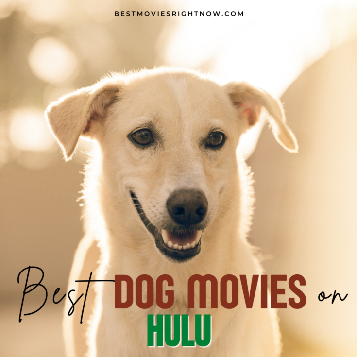 9 Best Dog Movies on Hulu - What to Watch Guide