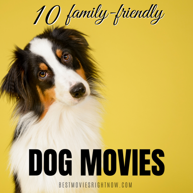 10 Best Dog Movies - What to Watch Guide