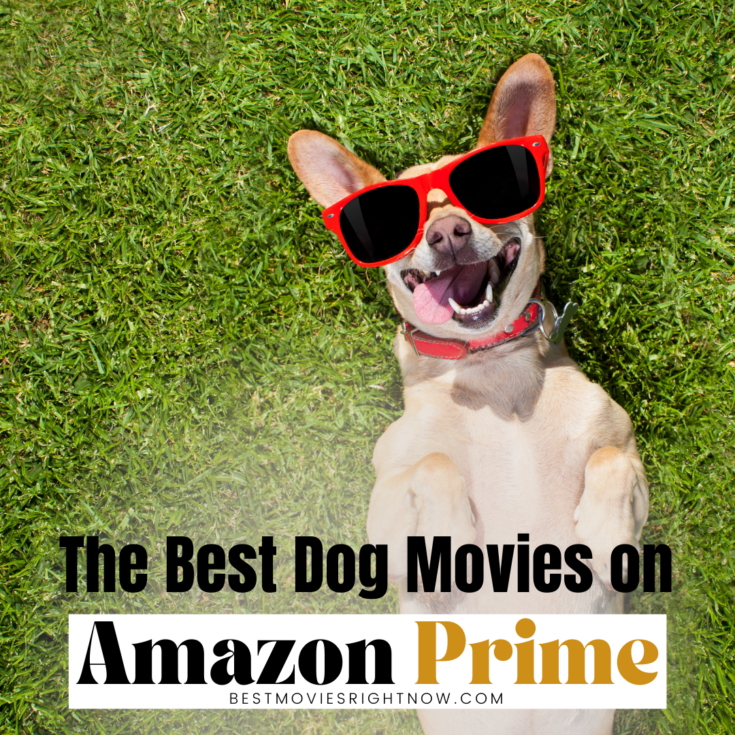 The Best Dog Movies on Amazon Prime - What to Watch Guide