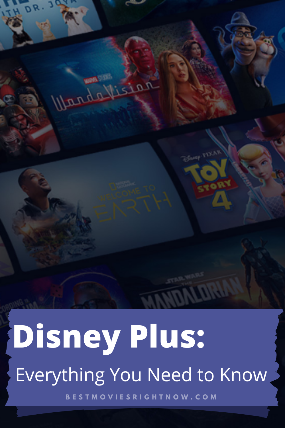 Disney Plus: Everything You Need to Know - What to Watch Guide