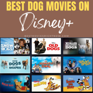 17 Best Dog Movies on Disney Plus - What to Watch Guide
