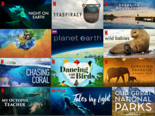 18 Earth Day Movies on Netflix - What to Watch Guide