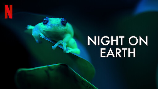 18 Earth Day Movies on Netflix - What to Watch Guide