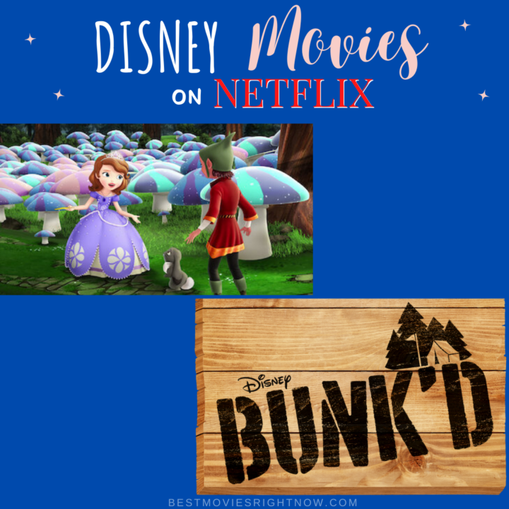 Disney Movies on Netflix - What to Watch Guide