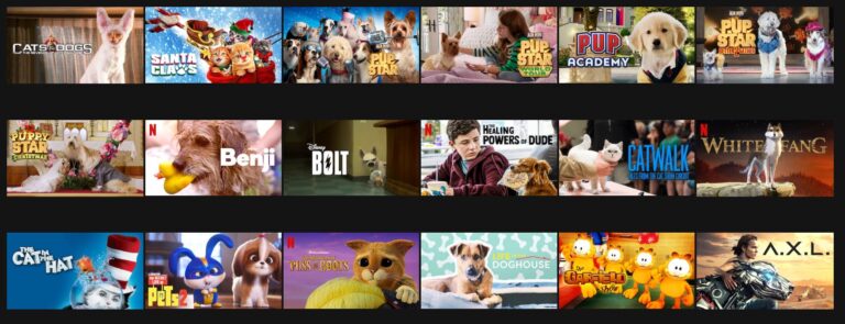 13 Best Cat Movies on Netflix - What to Watch Guide