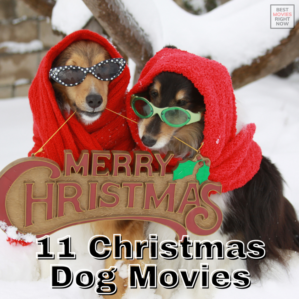 11 Christmas Dog Movies - What to Watch Guide