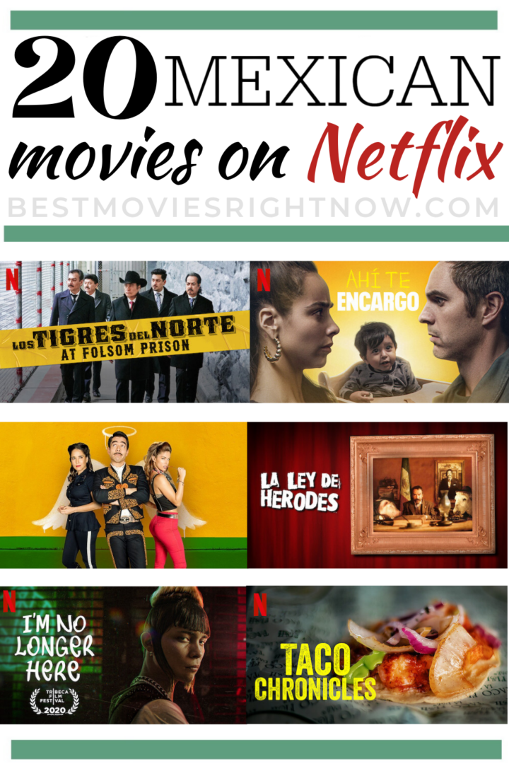 20 Mexican Movies on Netflix You Should Watch - What to Watch Guide