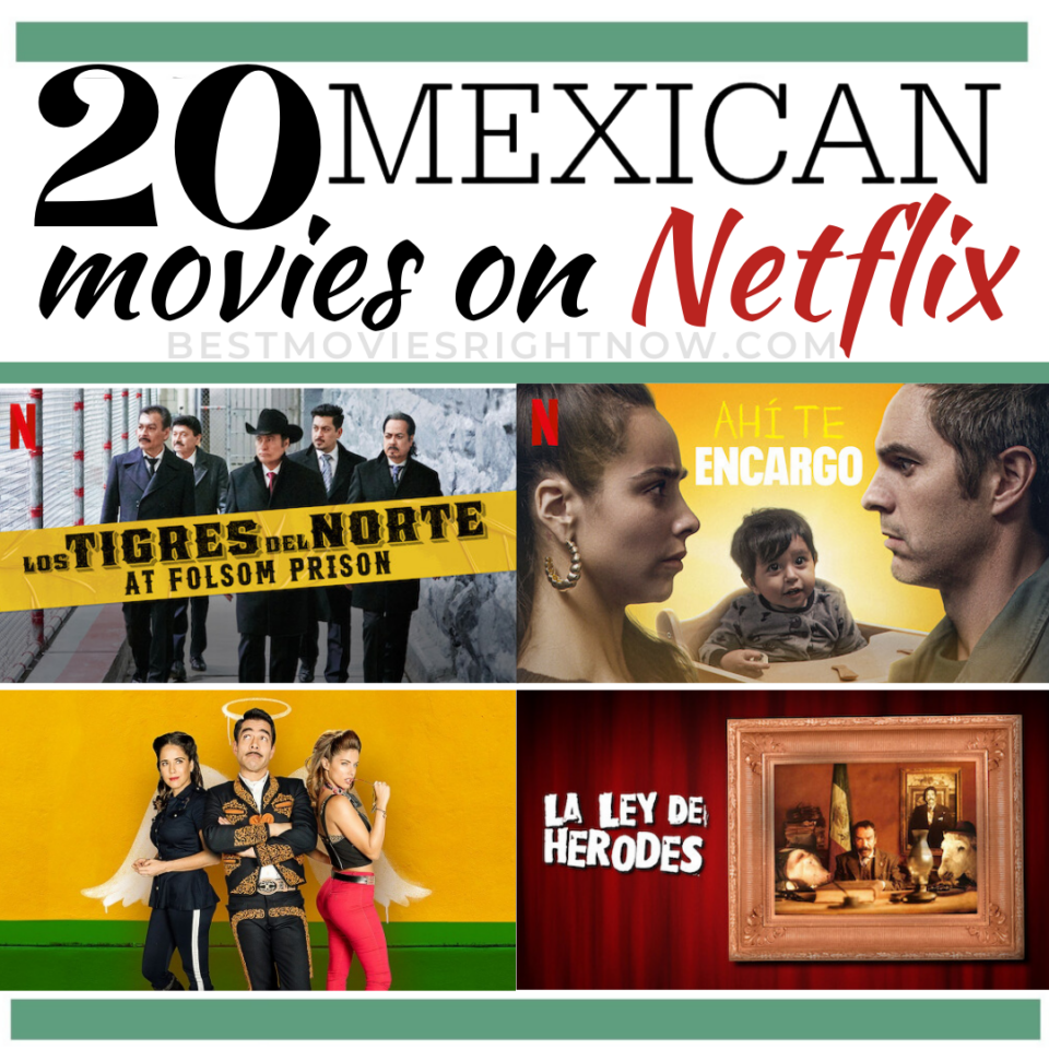 20 Mexican Movies on Netflix You Should Watch - What to Watch Guide