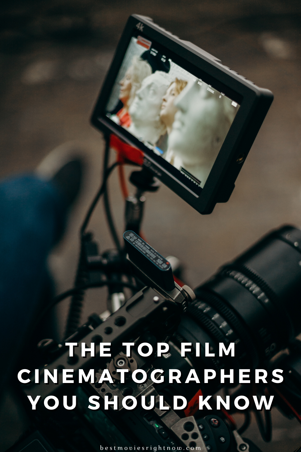 The Top Film Cinematographers You Should Know - What to Watch Guide