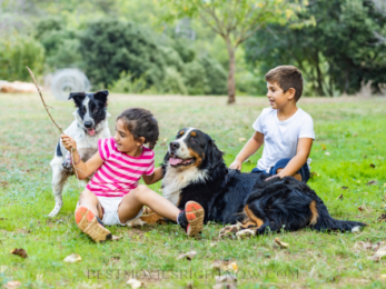 10 Best Dog Movies For Kids - What to Watch Guide