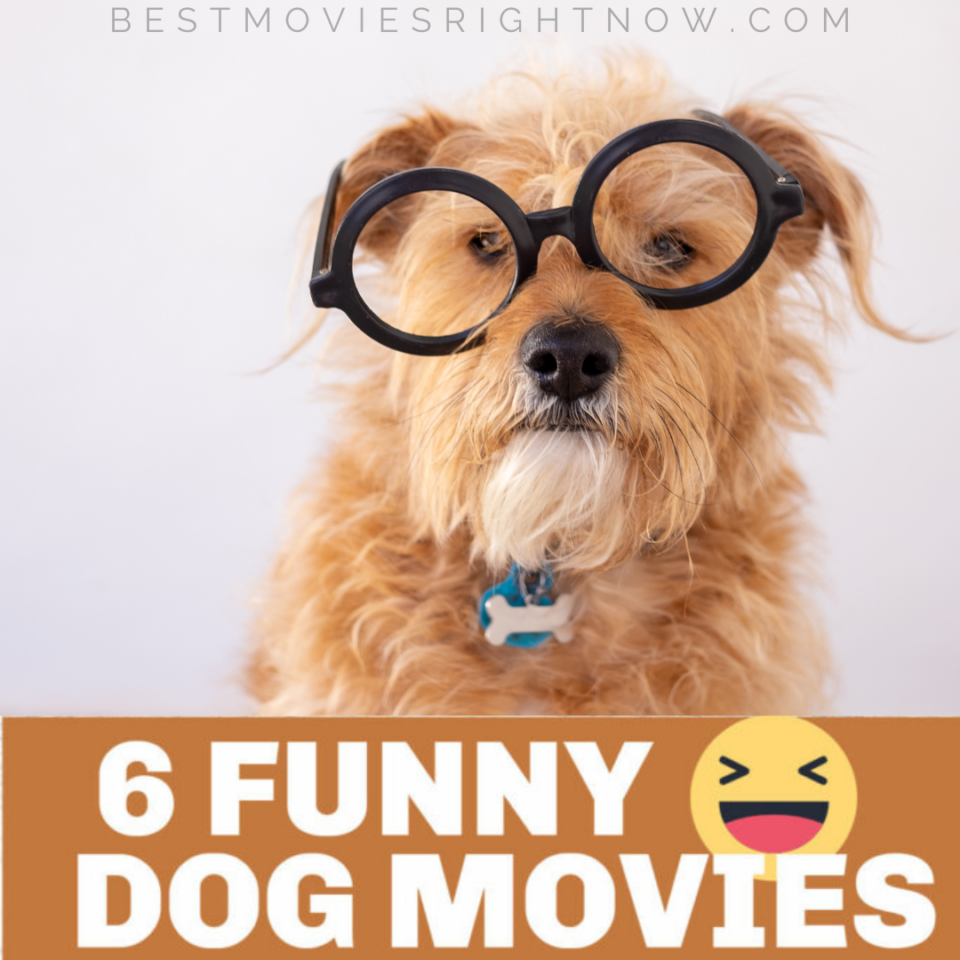 6 Funny Dog Movies - What to Watch Guide