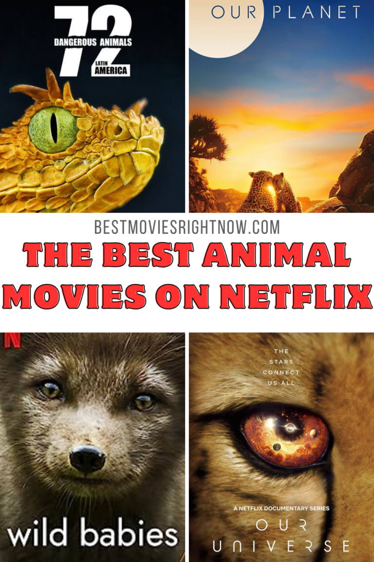 The Best Animal Movies on Netflix - What to Watch Guide