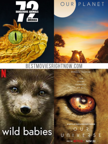 The Best Animal Movies on Netflix - What to Watch Guide
