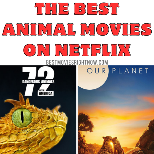 The Best Animal Movies on Netflix - What to Watch Guide