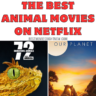 The Best Animal Movies on Netflix - What to Watch Guide