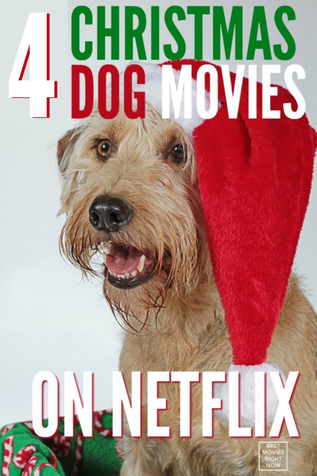 4 Best Christmas Dog Movies on Netflix - What to Watch Guide