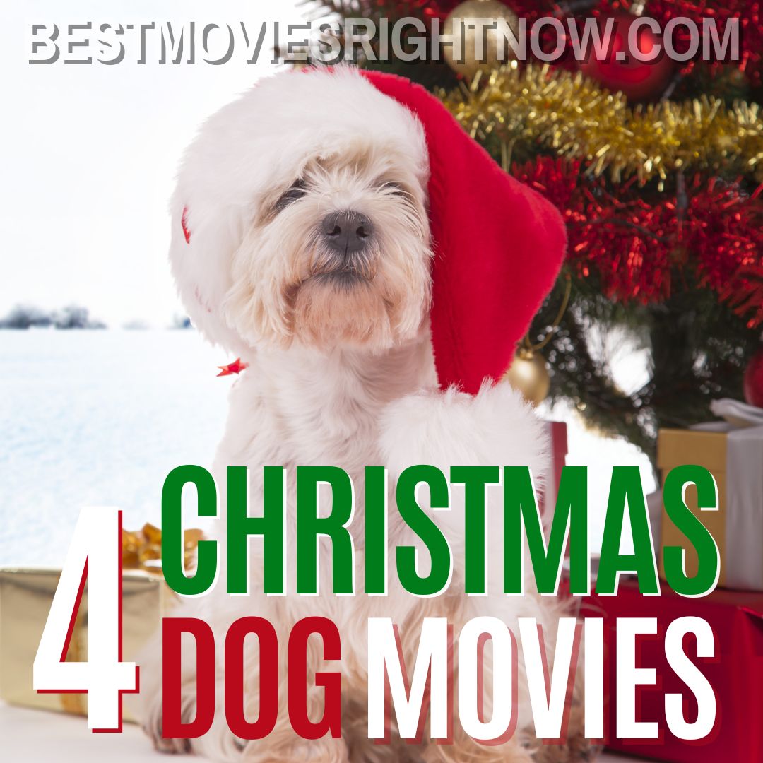 4 Best Christmas Dog Movies on Netflix - What to Watch Guide