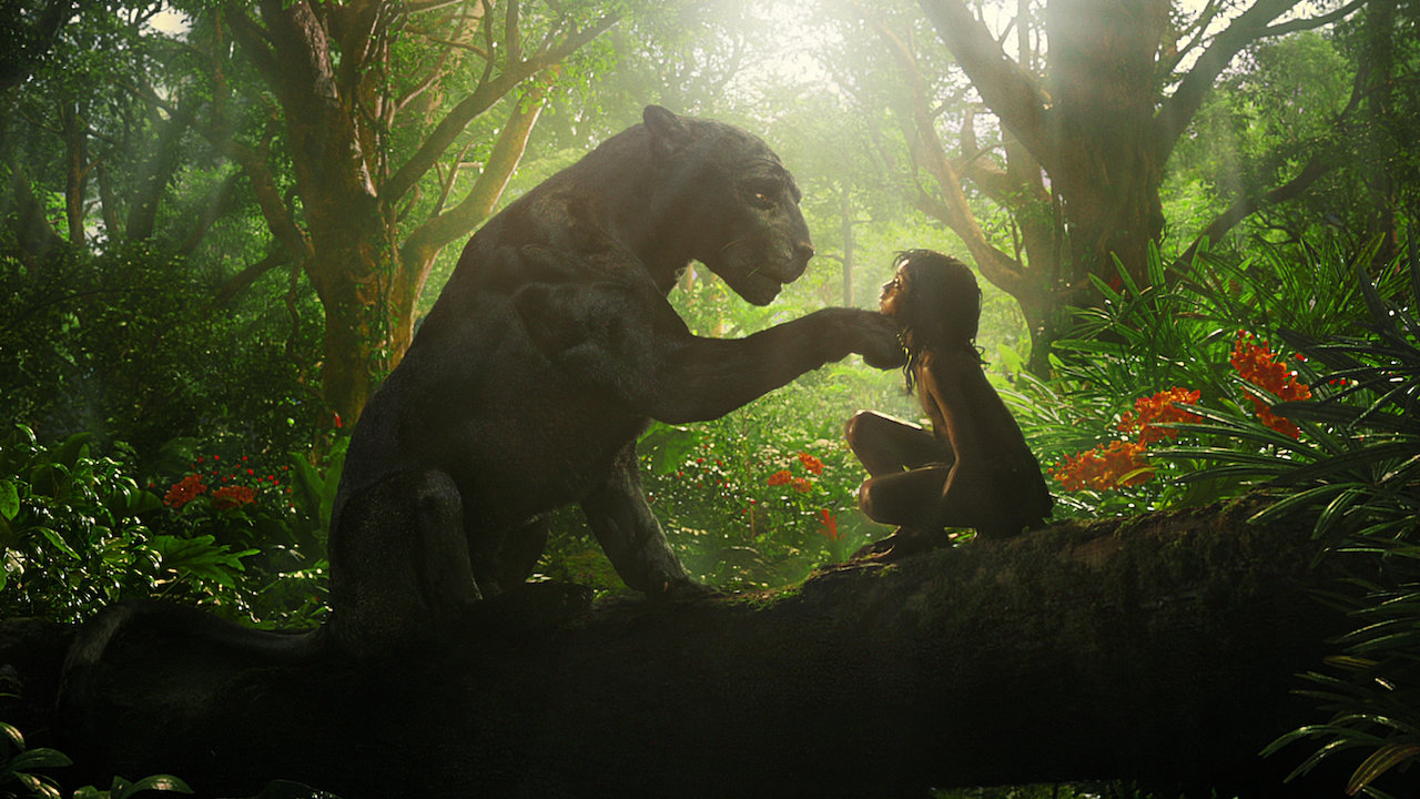 Best Tiger Movies - What to Watch Guide