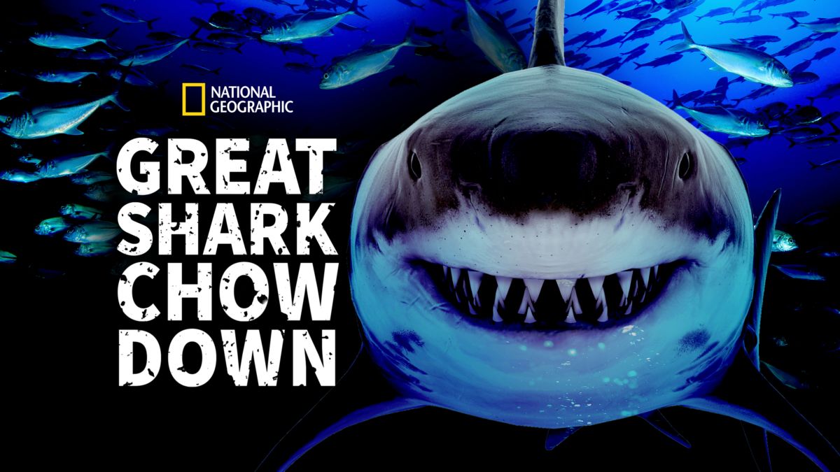 23 Shark Movies On Disney Plus - What to Watch Guide