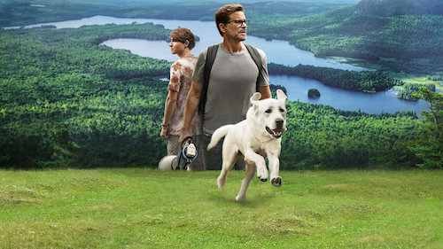 20 Best Dog Movies on Netflix for Dog Lovers - What to Watch Guide