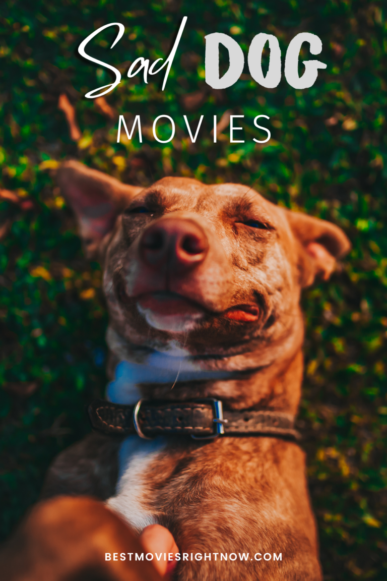 10 Sad Dog Movies - What to Watch Guide