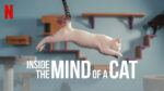 20 Educational Movies on Netflix for Elementary Students - What to ...