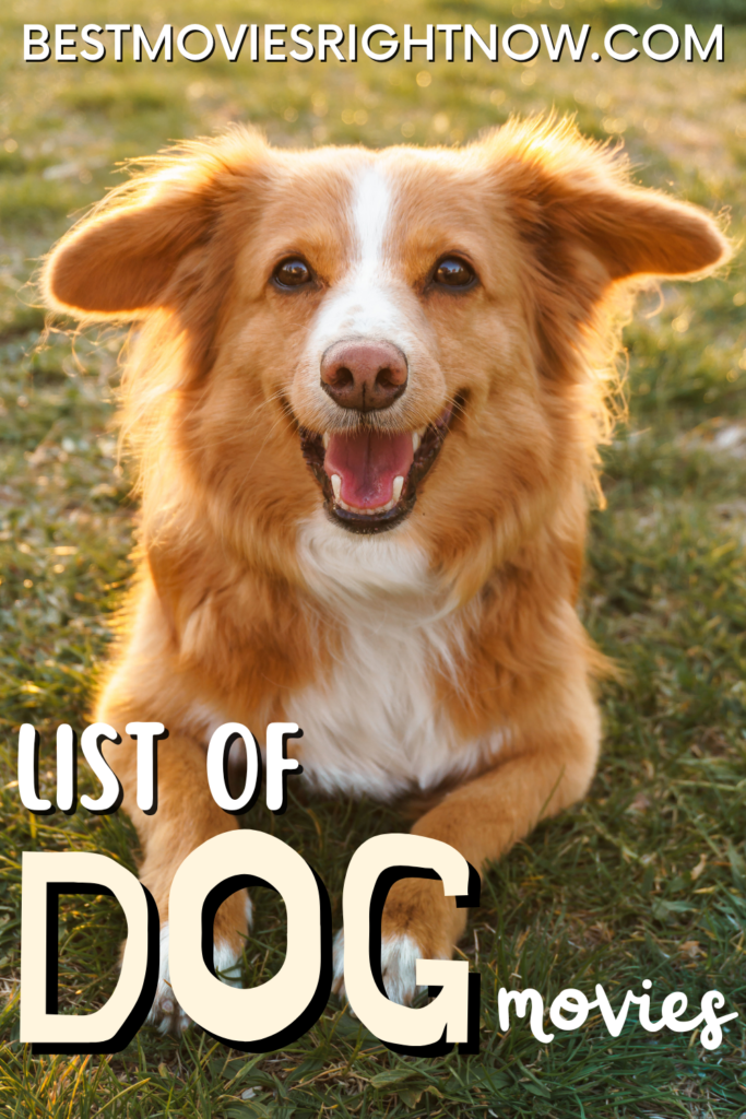 6 List of Movie Dogs - What to Watch Guide