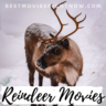 15+ Reindeer Movies - What to Watch Guide