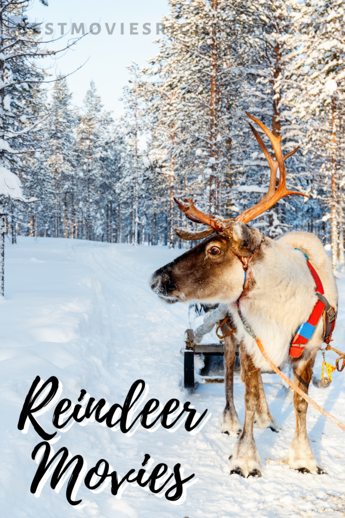 15+ Reindeer Movies - What to Watch Guide