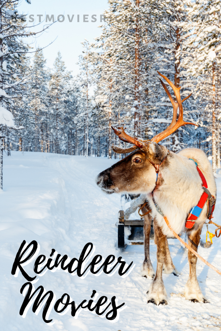 15+ Reindeer Movies - What to Watch Guide