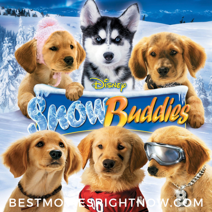 Is Snow Buddies on Disney Plus - What to Watch Guide