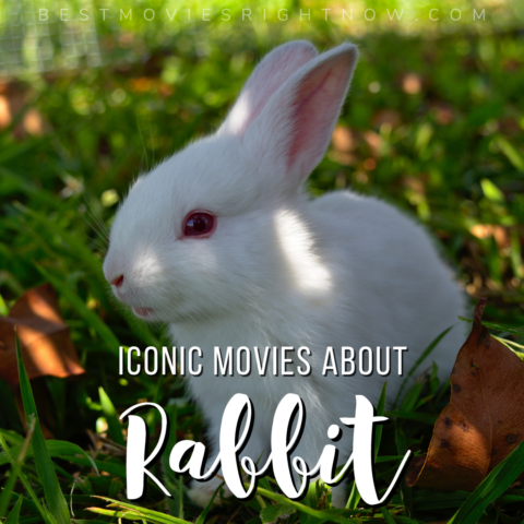 The Best Bunny Rabbit Movies Ever - What to Watch Guide
