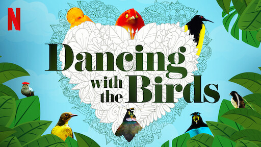 15+ Best Movies About Birds - What to Watch Guide