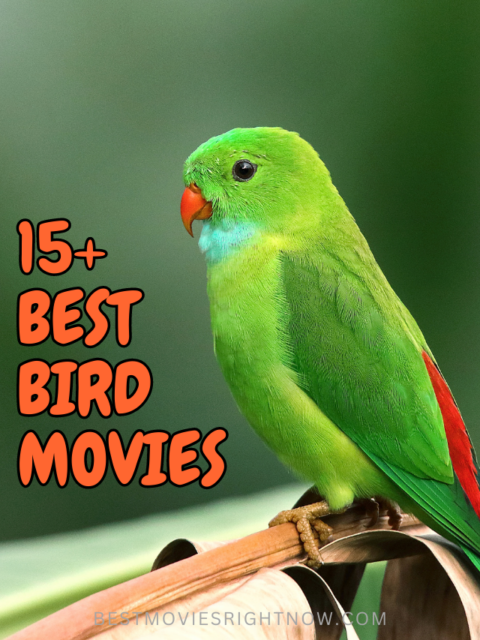 15+ Best Movies About Birds - What to Watch Guide