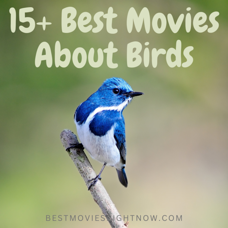 15+ Best Movies About Birds - What to Watch Guide