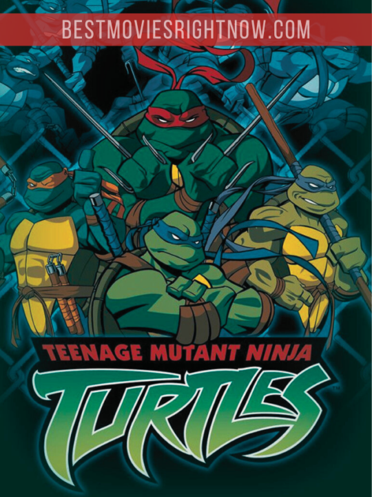 A Full List of All of the Teenage Mutant Ninja Turtles Movies - What to ...