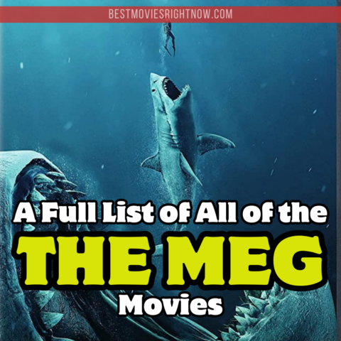 A Full List of All of the Meg Movies - What to Watch Guide