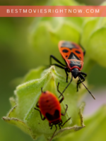 Creepy, Crawly, Captivating: Movies About Insects - What to Watch Guide