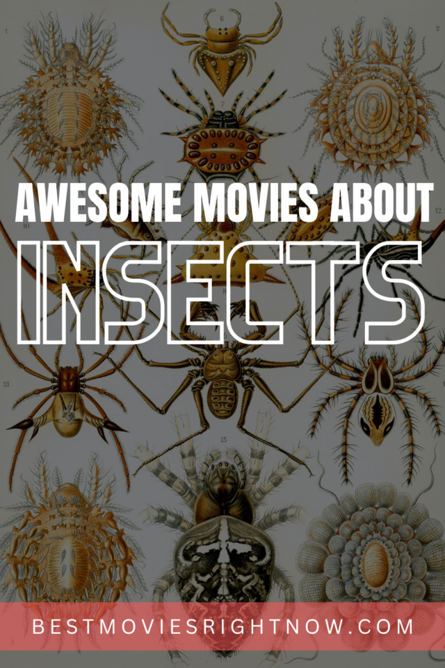 Creepy, Crawly, Captivating: Movies About Insects - What to Watch Guide