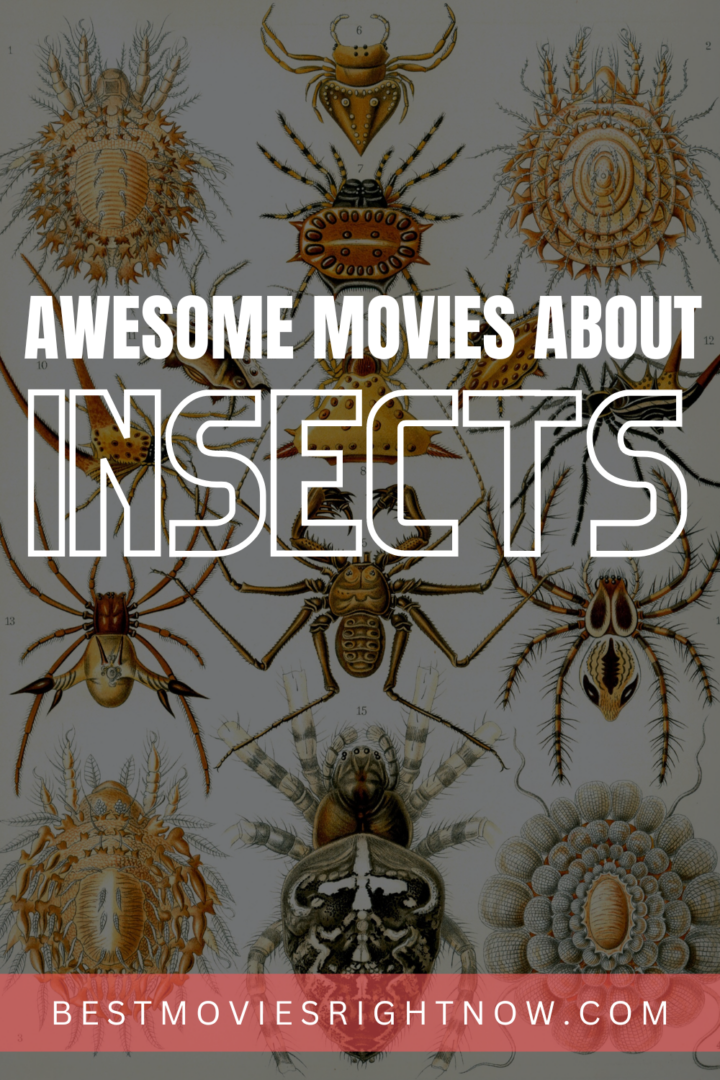 Creepy, Crawly, Captivating: Movies About Insects - What to Watch Guide