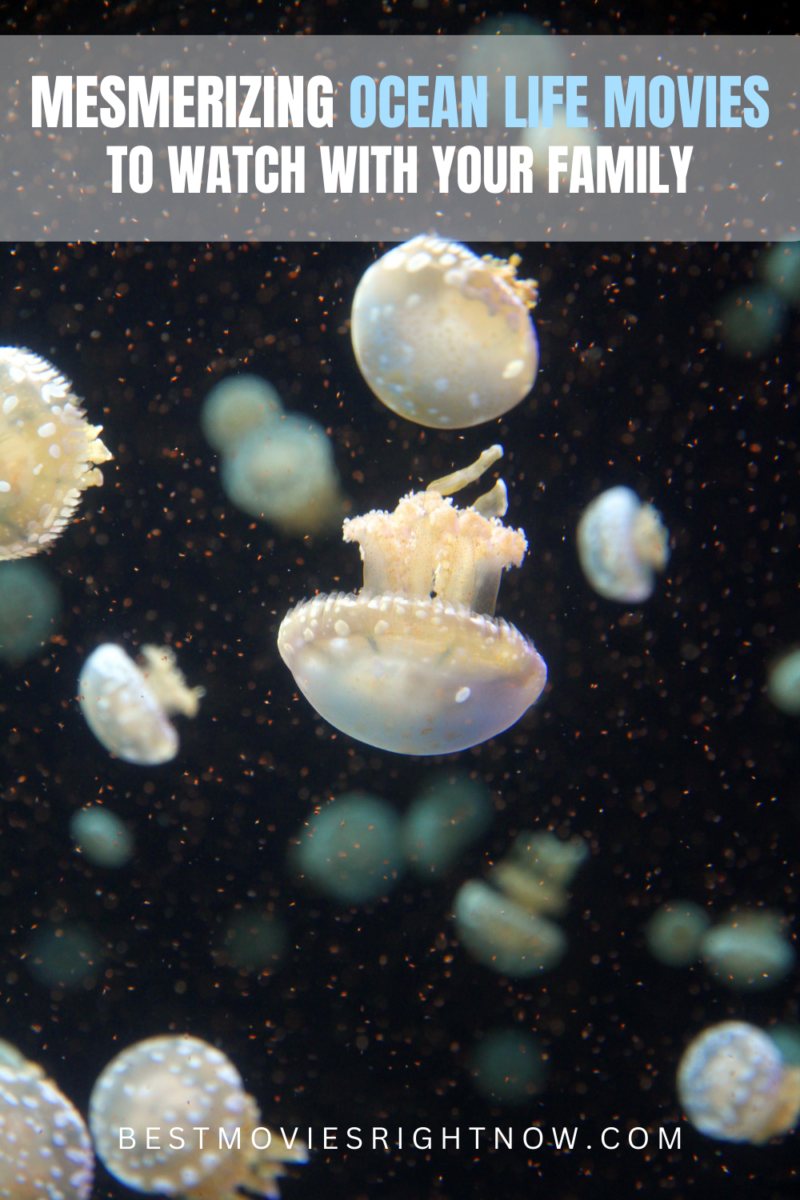 Mesmerizing Ocean Life Movies To Watch With Your Family - What to Watch ...