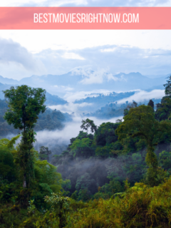 10 Captivating Movies About Rainforests - What to Watch Guide
