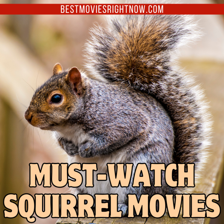 Must-Watch Squirrel Movies - What to Watch Guide