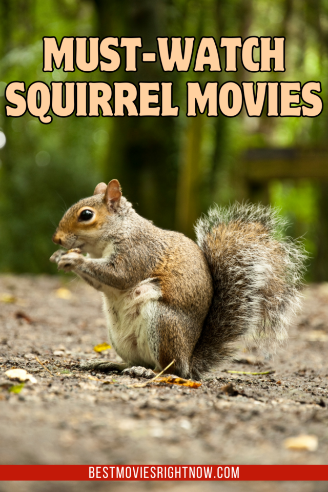 Must-Watch Squirrel Movies - What to Watch Guide
