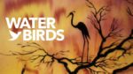 15+ Best Movies About Birds - What to Watch Guide